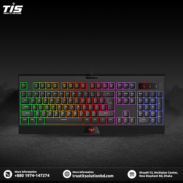 HAVIT KB858L-Pro Wired Gaming Keyboard